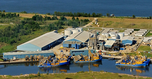 Daybrook Fisheries - Empire, LA - TURNSTILES.us